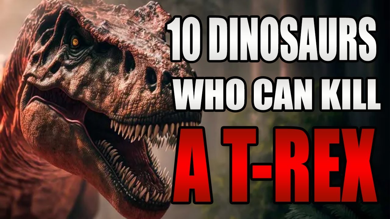 10 Dinosaurs Who Can Kill a T-Rex - YouTube