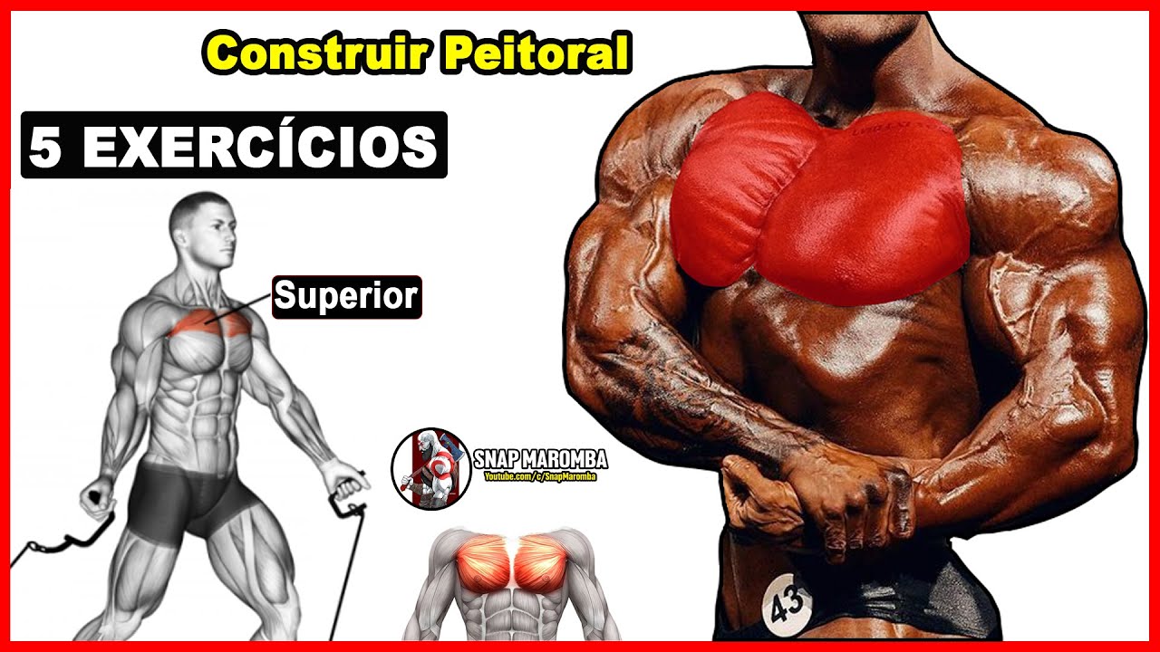 Construindo Um Peitoral Gigante Com 5 Exercícios Treino Completo - YouTube