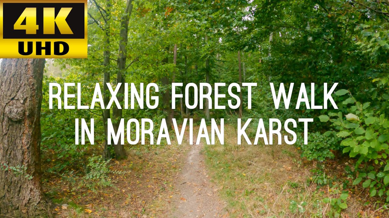 4K: Relaxing forest walk in Moravian Karst on a cloudy autumn day - YouTube