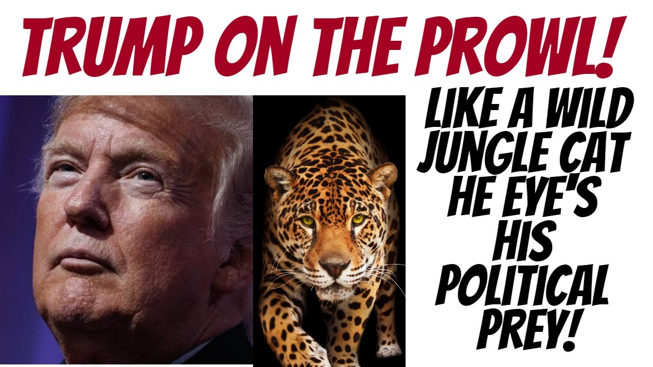 He's back... the 'Trumpster'! Terrorizing half the population! - YouTube