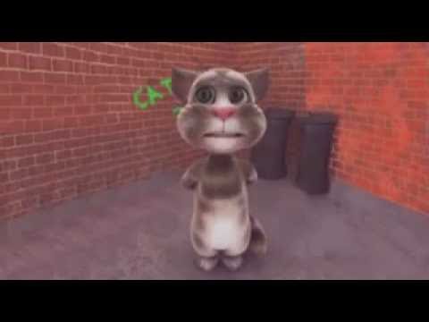 El gato picaro - YouTube