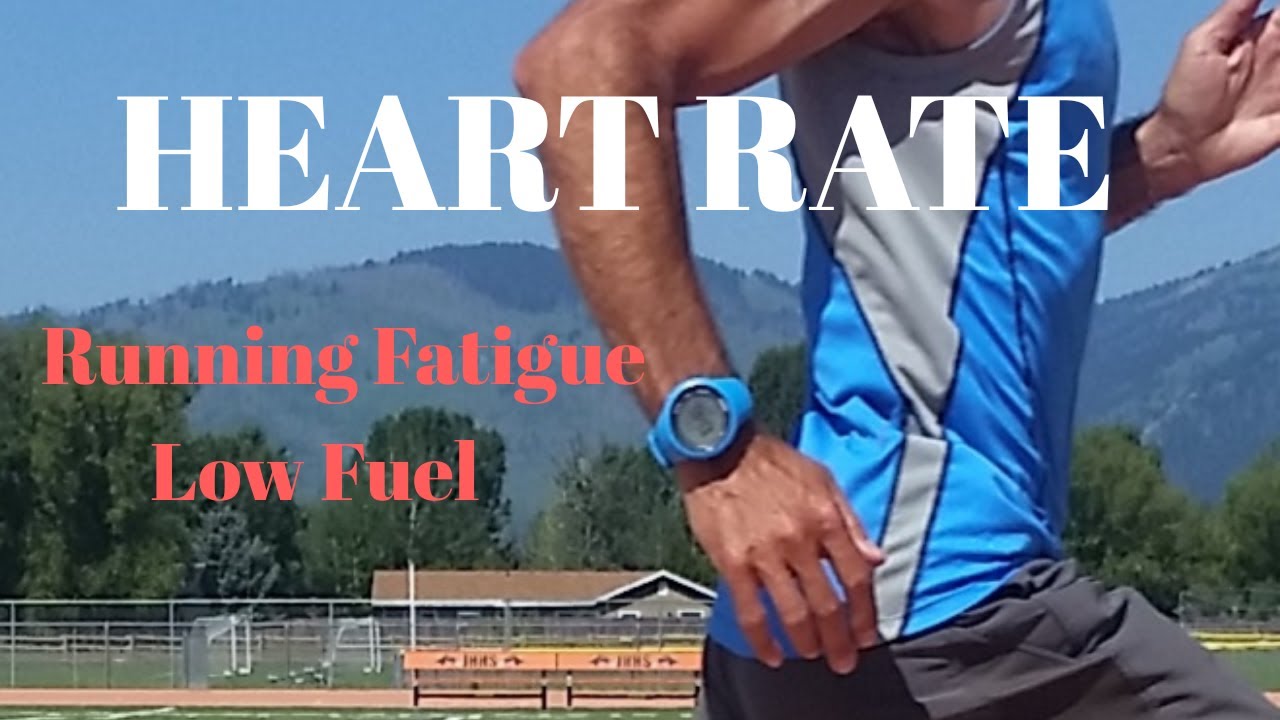 Use Heart Rate to detect RUNNING FATIGUE and LOW FUEL (+ Dynafit Feline ...