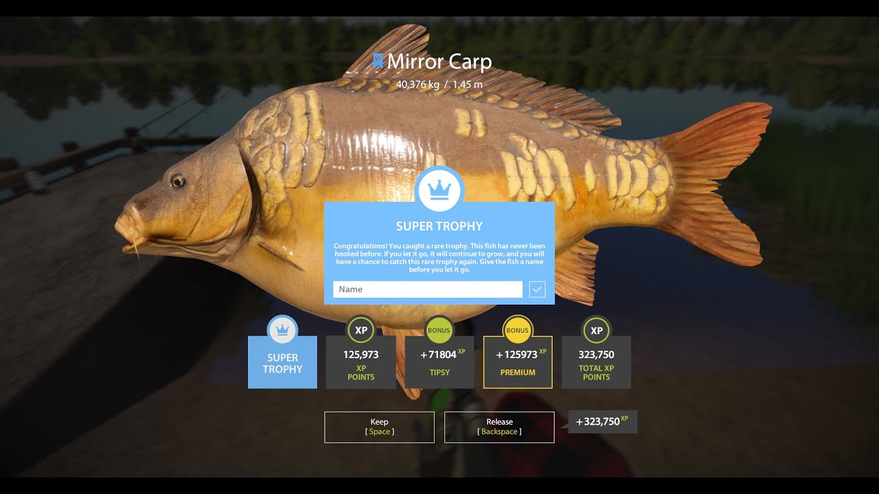 RF4-Russian Fishing 4 - Amber lake- Mirror Carp Blue trof (Carpa ...