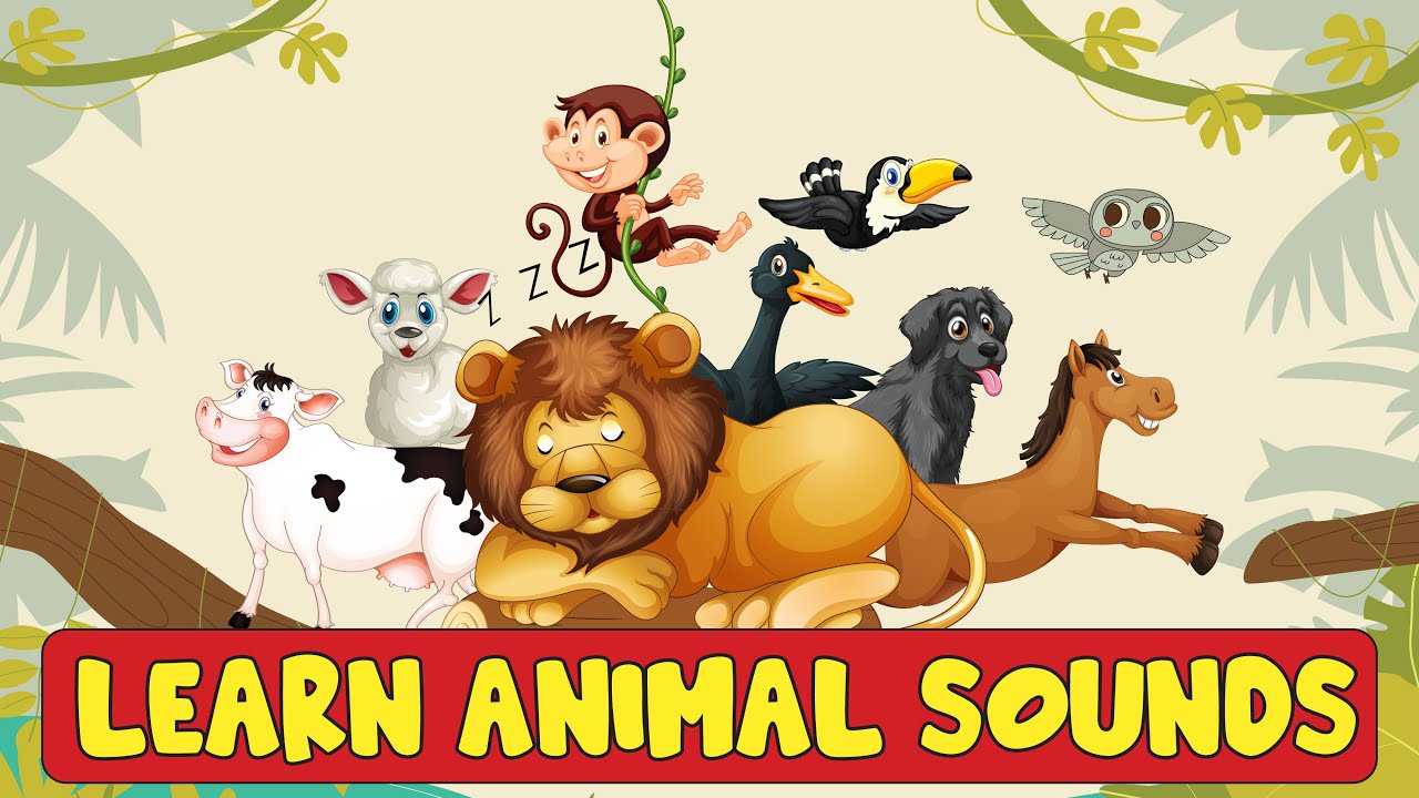Learn Animal Sounds | Hear and Learn with Us | Chinka TV - YouTube