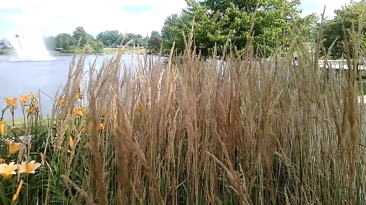 Sun City Huntley by Del Webb 7/21/2018 - YouTube