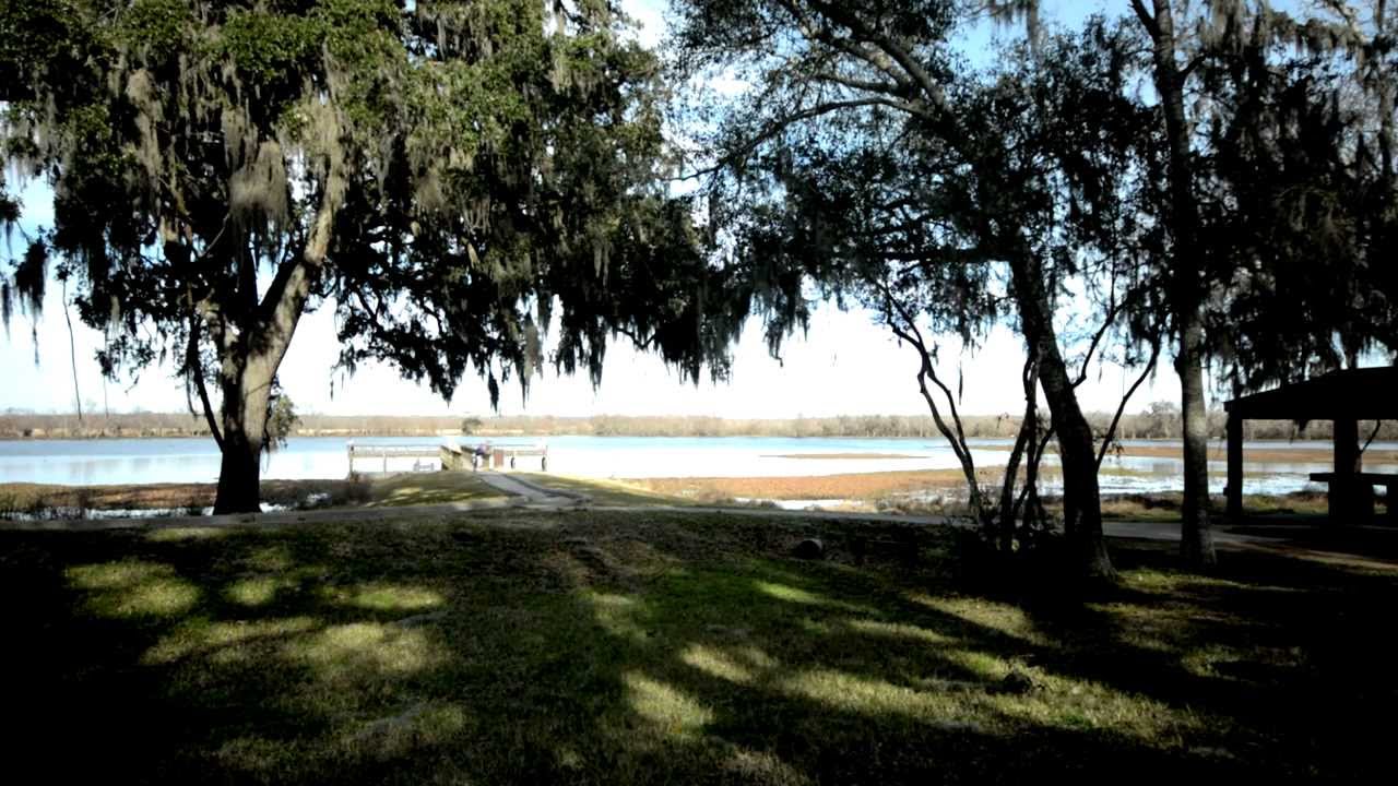 An evening at Brazos Bend State Park - YouTube