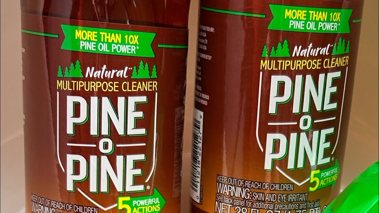 PINE O PINE SQUEEZES W/ NEW FRESH SPONGE! 🫧🧽 - YouTube