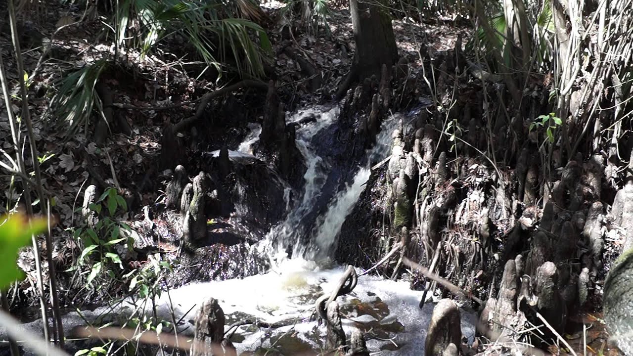 Boonie Falls - YouTube