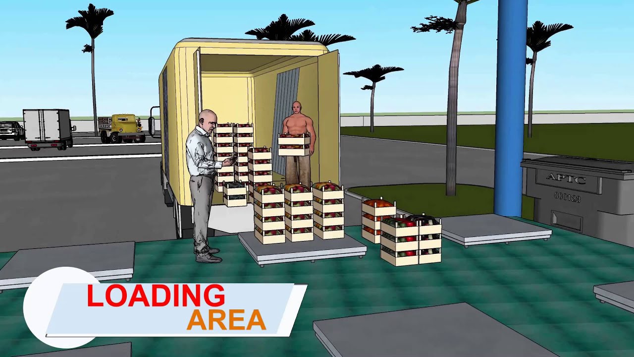 Davao City Food Terminal located at Toril, Davao City - YouTube