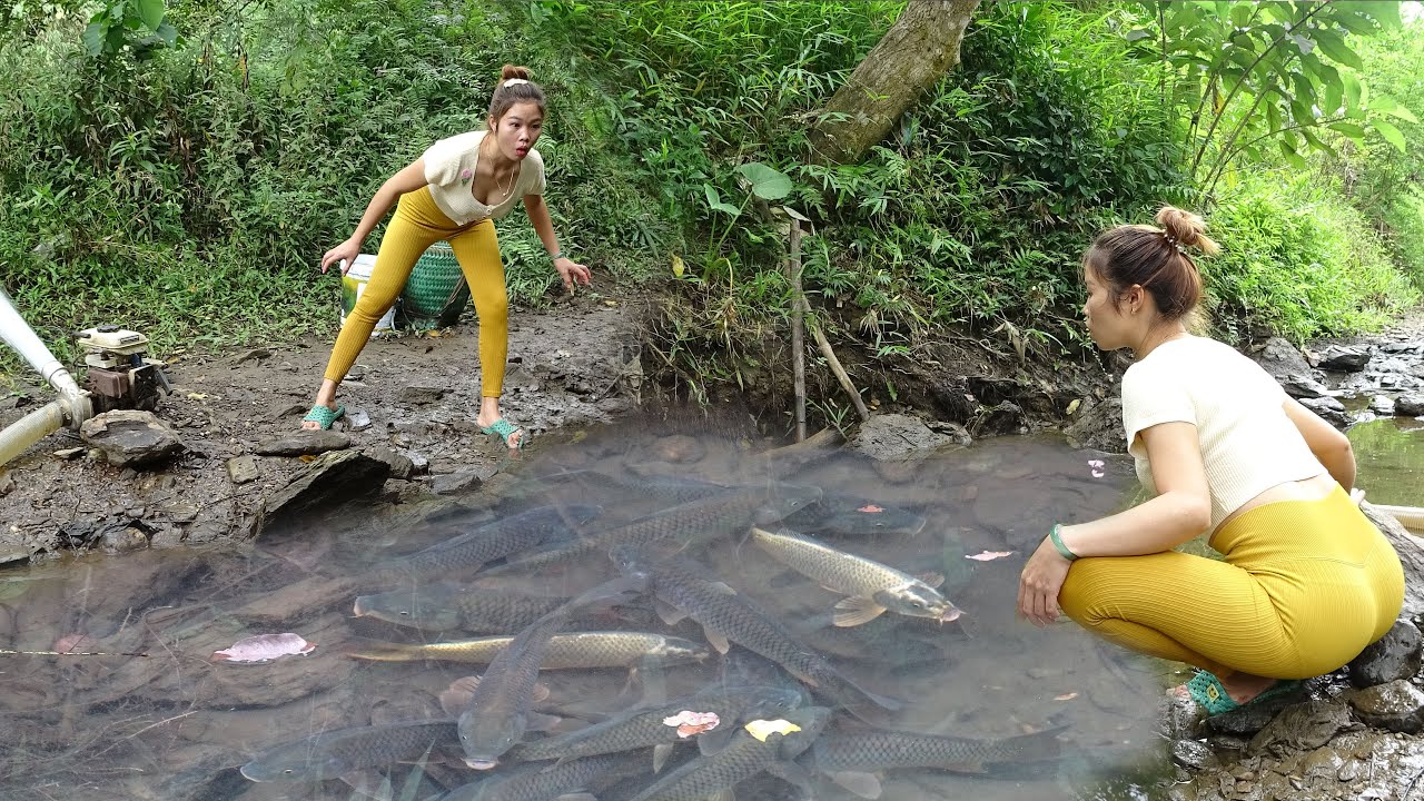 Fishing: Fishing Techniques, Unique Fishing Video, Survival Fishing ...