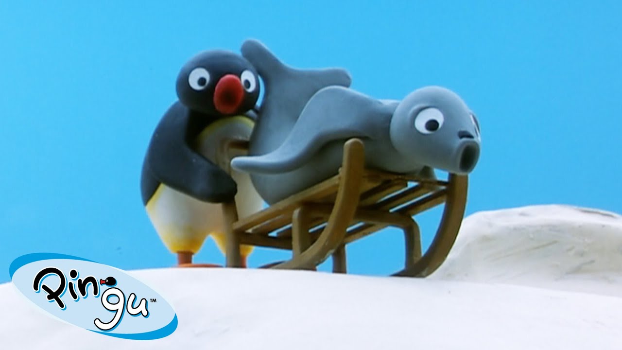 Pingu Becomes an Explorer 🐧 | Pingu - Official Channel | Cartoons For ...