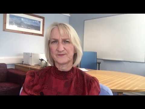 CJI Chief Inspector Jacqui Durkin – Driving Change Follow-Up Review ...