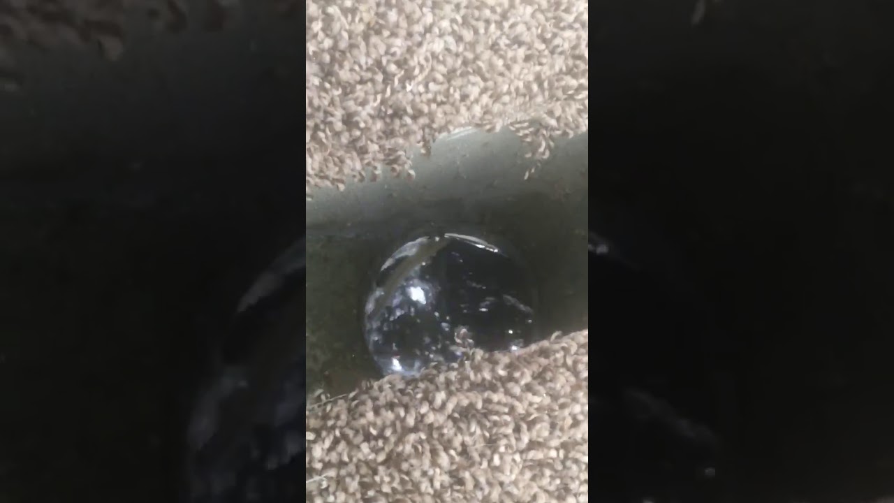 indoor stream - YouTube