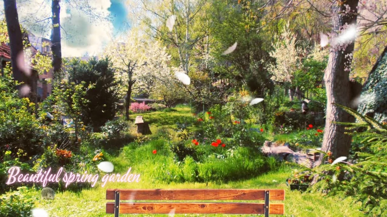 Nature Sounds ASMR Spring Ambience | Relaxing Nature Sounds, Birds ...