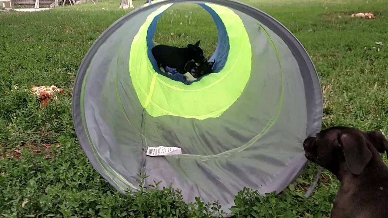 Teacup Lab mixes tunnel time - YouTube