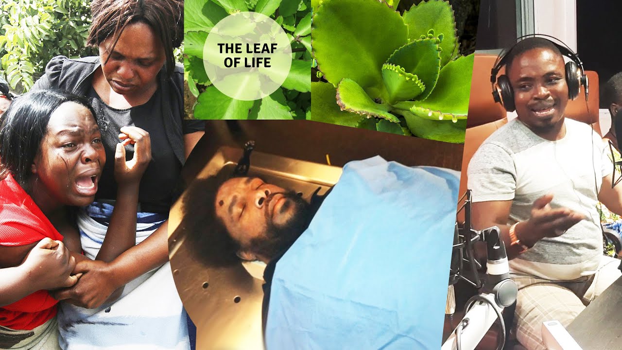 How to revive a dead Person and Speak with him. Secrets you need to ...