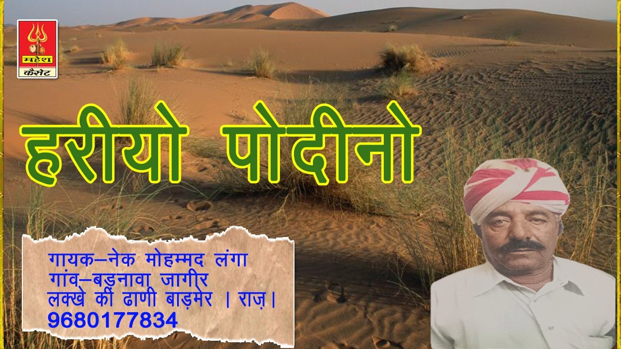 SuperHit 2023 Langa party | Hariyo Podino By Nek Mahammad |Rajasthani ...