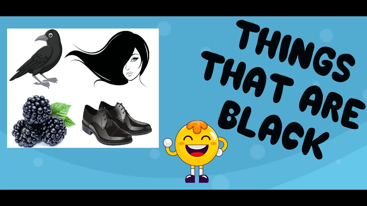 THINGS THAT ARE BLACK (Learn Black Objects) Black Colour and Objects ...