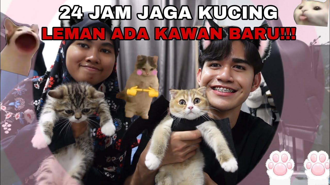24 JAM JAGA KUCING 🤣 LEMAN ADA KAWAN BARU WOW!!!😱 - YouTube