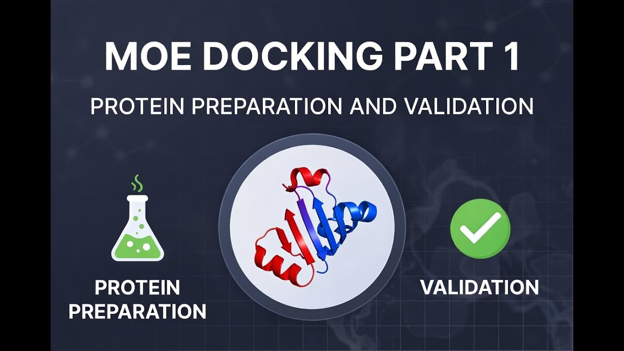 MOE docking part 1 protein preparation and validation - YouTube