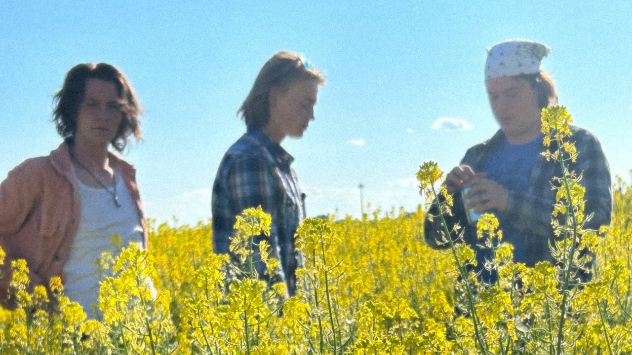 Point It Out -Anyone Awake (Official Music Video) - YouTube