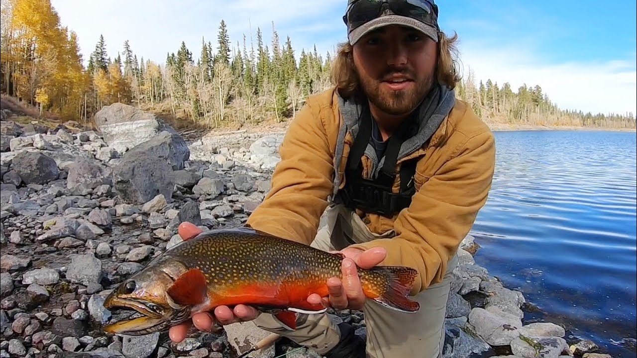 Chasing BIG Brook TROUT Deep in the Mountains! (Catch & Cook) - YouTube