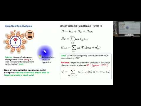 Non Markovian Dynamics Workshop - Alex Chin
