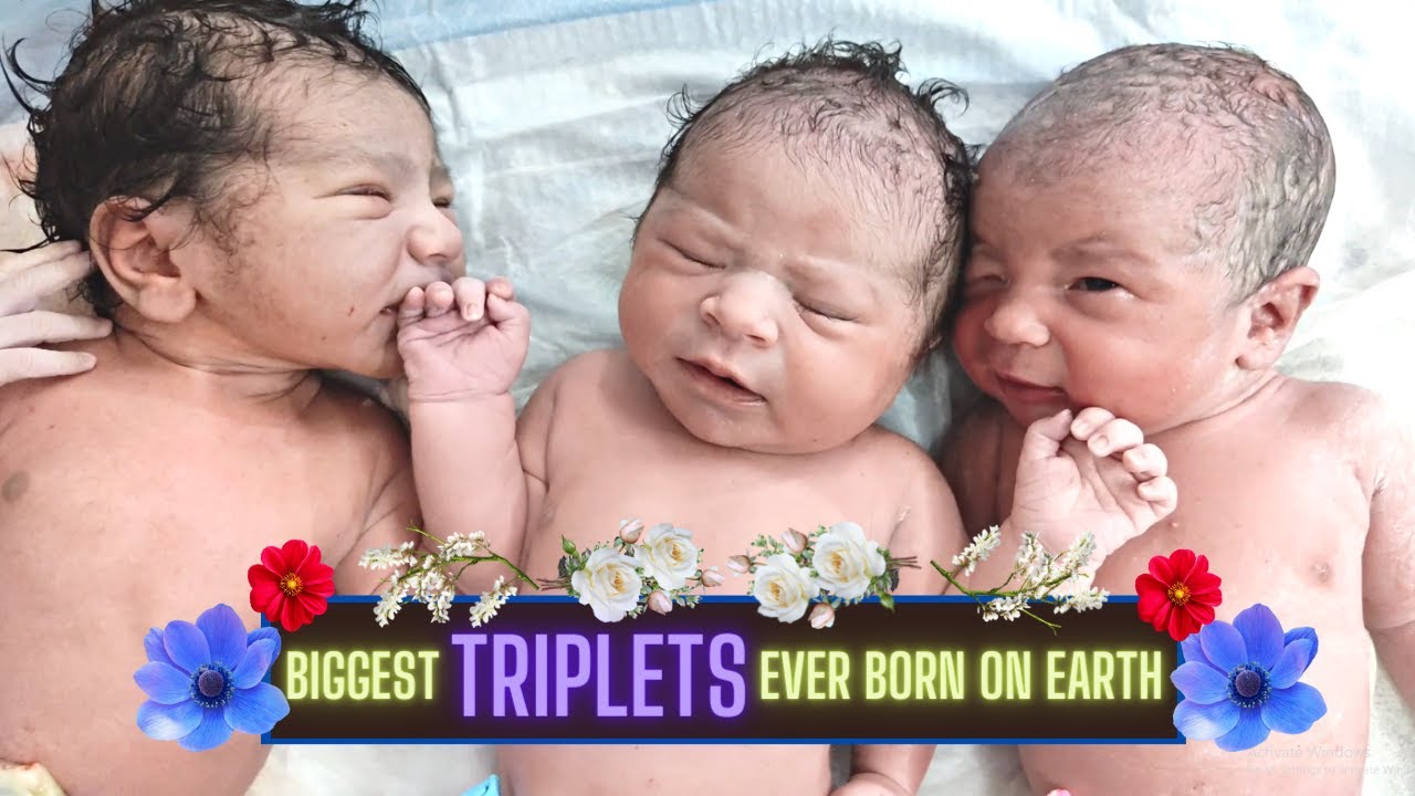 World Biggest Triplet Newborn Babies Born Ever - YouTube