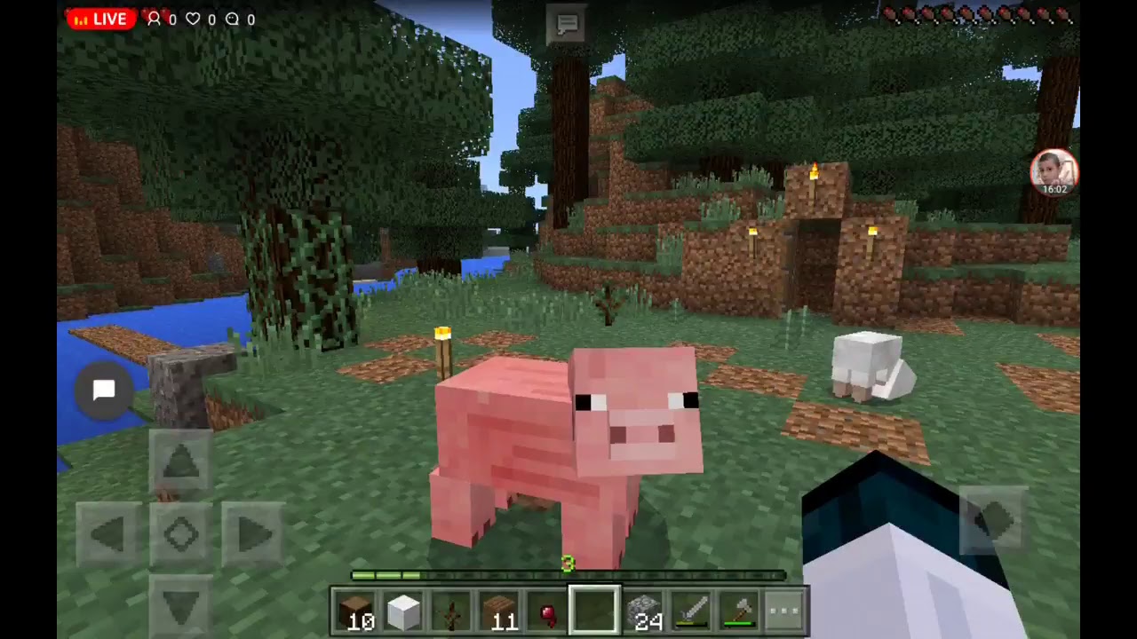 Minecraft #3 - YouTube