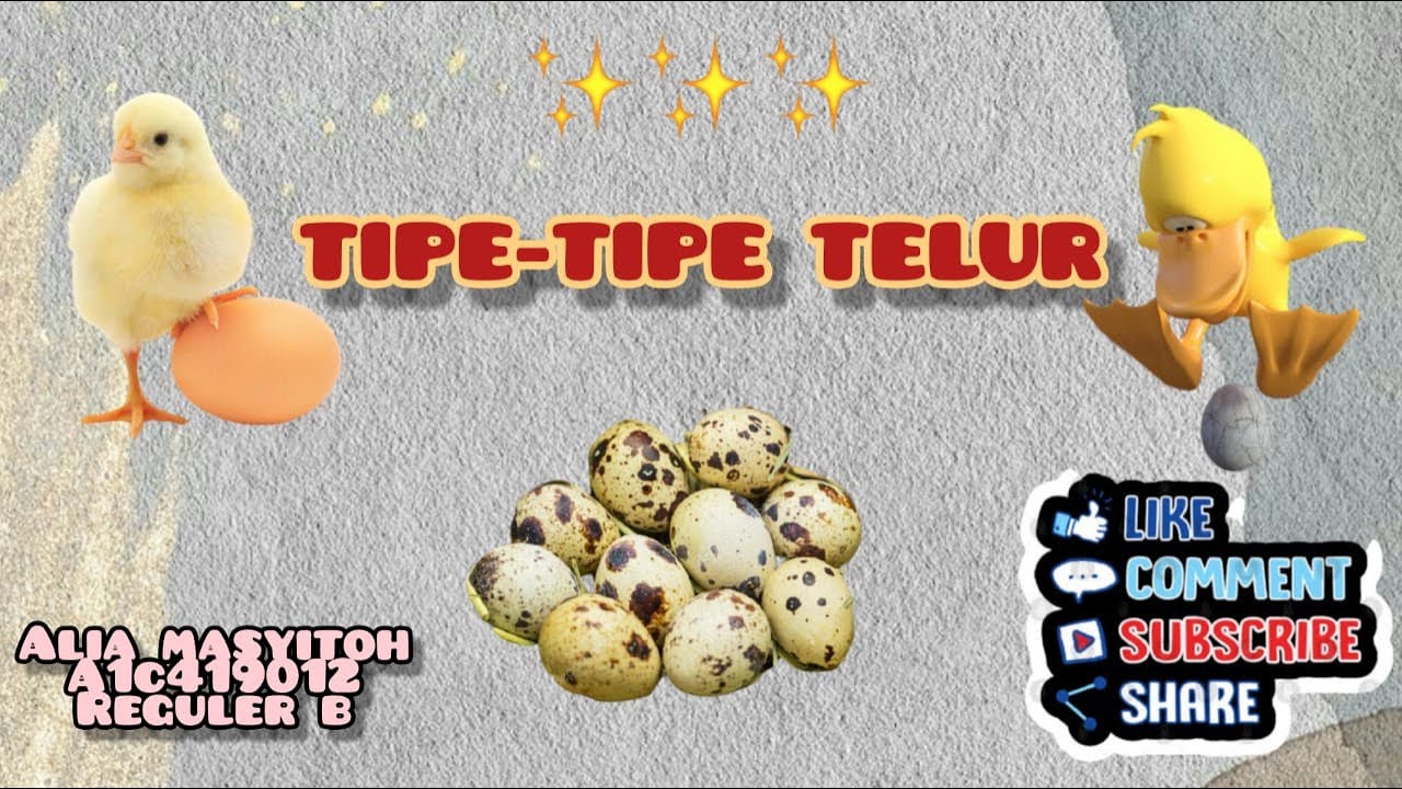 PRAKTIKUM PERKEMBANGAN HEWAN_TIPE-TIPE TELUR - YouTube