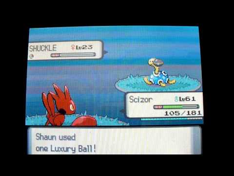 Pokémon Diamond Shiny Shuckle caught chain 10 from a non shiny bush ...