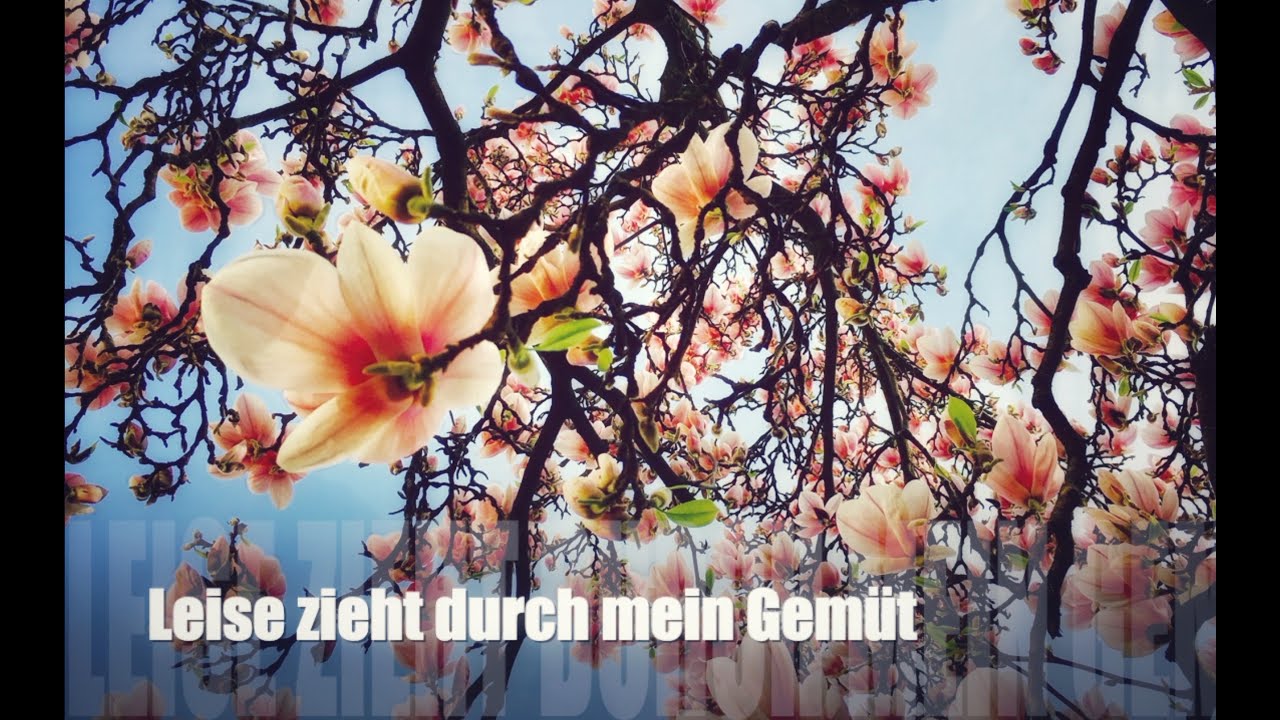 Leise zieht durch mein Gemüt - YouTube