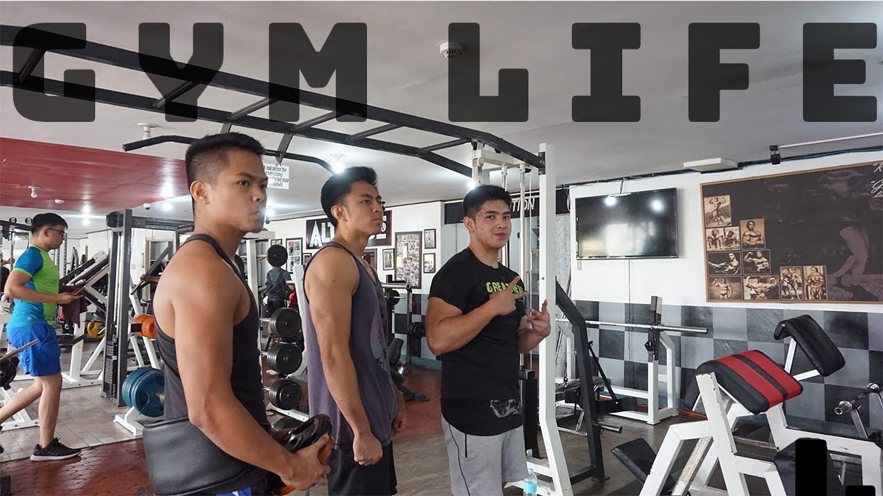 GYM LIFE - YouTube