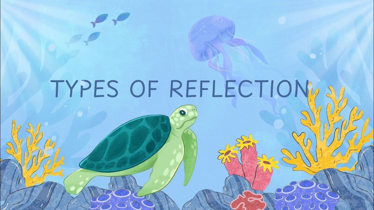 "Reflection of Light | Class 10 NCERT Physics | Laws of Reflection ...