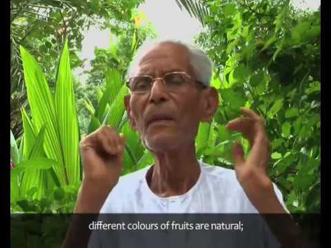 Farming The Gandhian Way A Tribute to Shri BHASKAR SAVE - YouTube