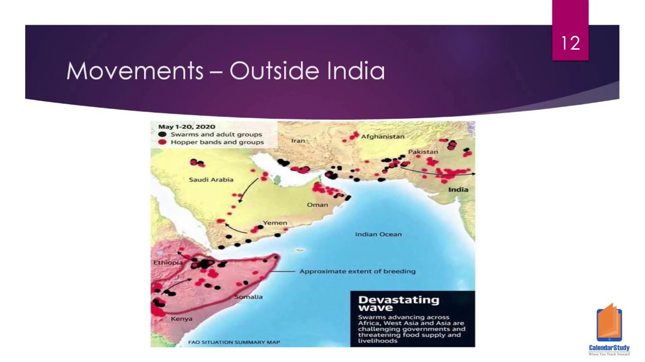 All About Locust Attacks | UPSC Mains Content Builder Series - Video 3 ...
