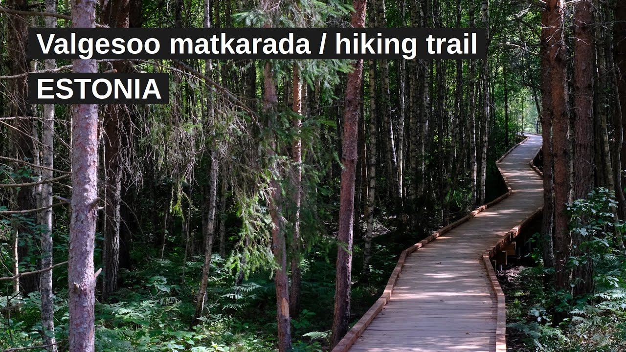 Valgesoo matkarada / hiking trail, Estonia (4K video) - YouTube