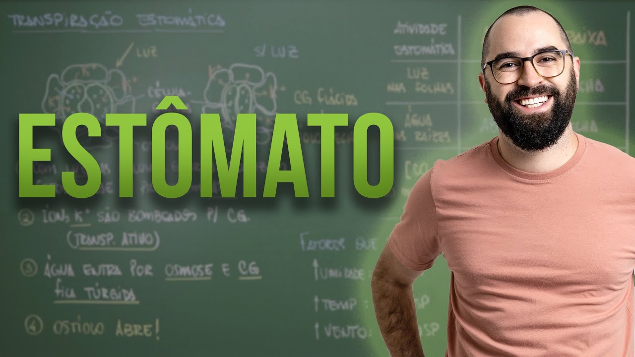 Estômato (transpiração estomática) - Fisiologia Vegetal - Aula 25 ...