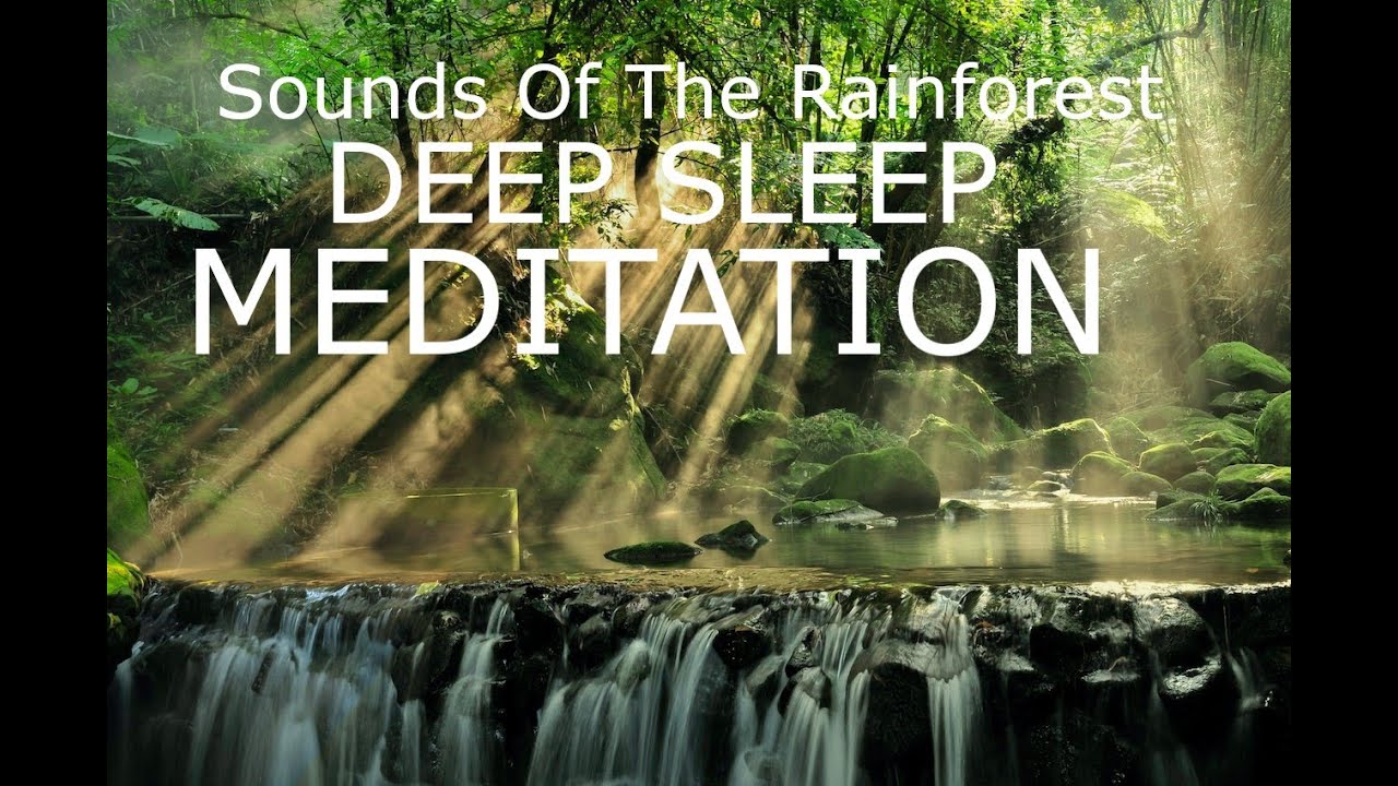 Nature Meditation - Sounds Of The Rainforest for Sleeping or Studying ...