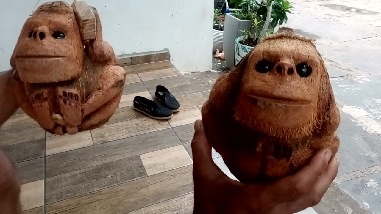 Macacos para bebidas feito com cocos da praia - YouTube