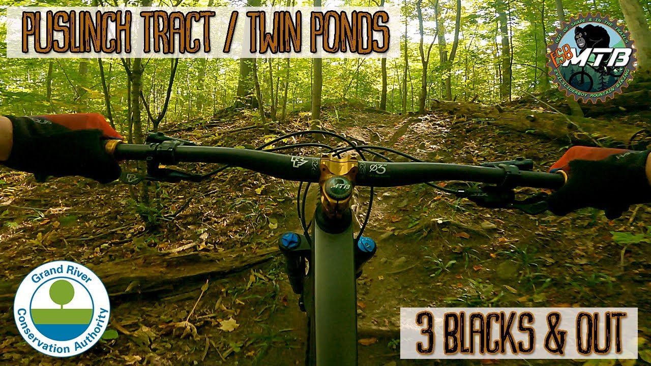 Puslinch Tract / Twin Ponds 3 Blacks & Out - YouTube