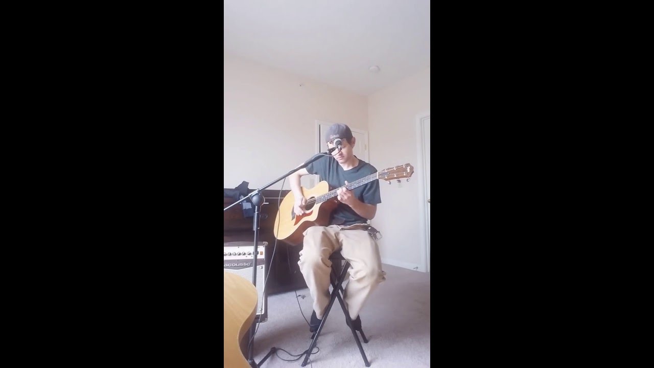 Darling Nikki - Prince and the Revolution acoustic cover (Nate Leistner ...