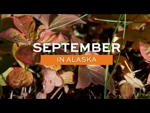 Alaska.org - September in Alaska