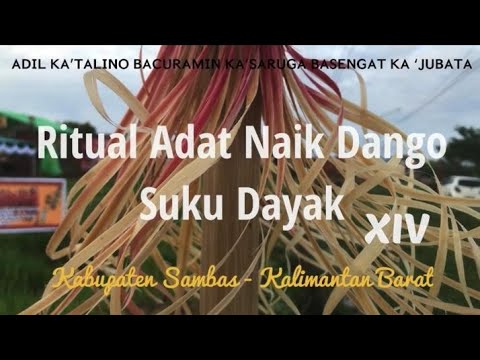 RITUAL NAIK DANGO SUKU DAYAK KOTA SAMBAS - YouTube