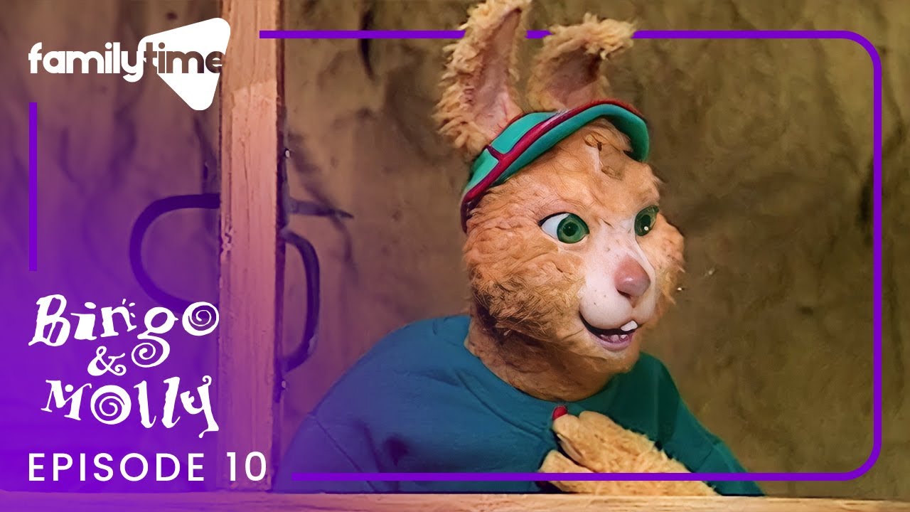 Bingo & Molly | Mr. Growl's Brothers | Episode 10 - YouTube