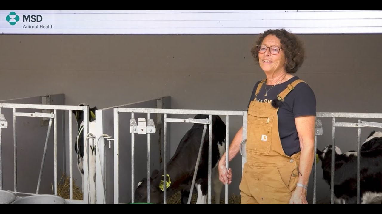 Hoe pakt een veehouder longontsteking aan? - YouTube