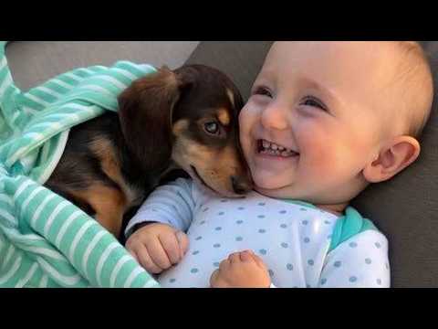 When Your Dog Becomes the Loyal Babysitter ❤️