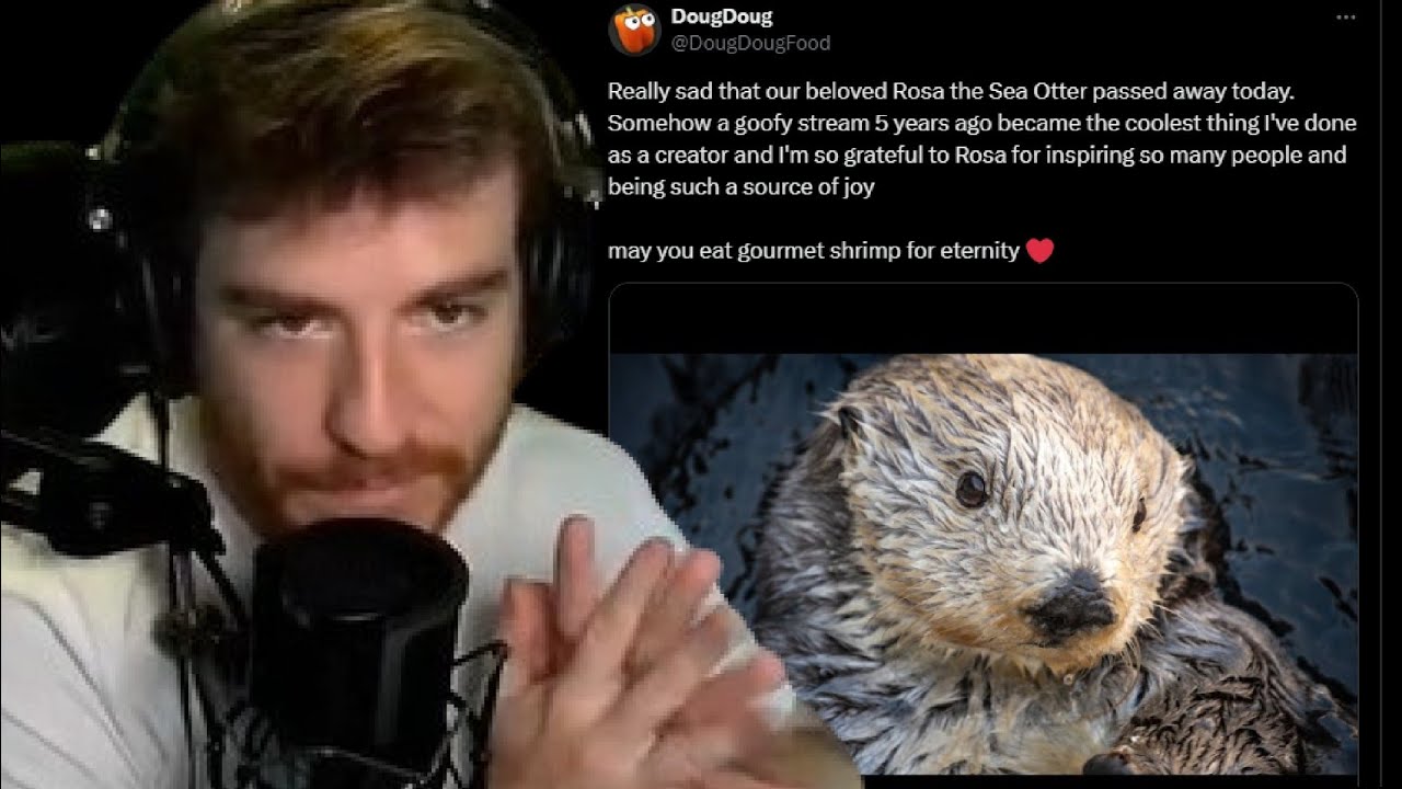 Doug talks about the passing of Rosa the Sea Otter - YouTube