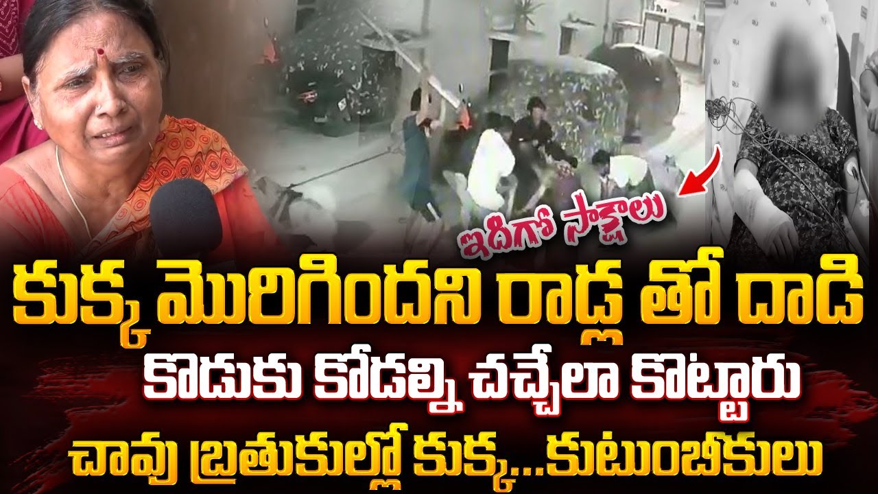 Rahmath Nagar Dog Owner News | Rahmath Nagar News Update | SumanTV ...