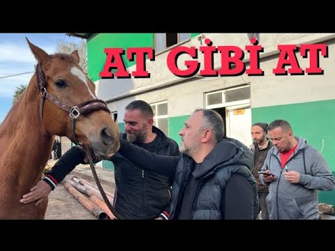ERKAN YILDIRIMLA ATLA İMTiHANIMIZ